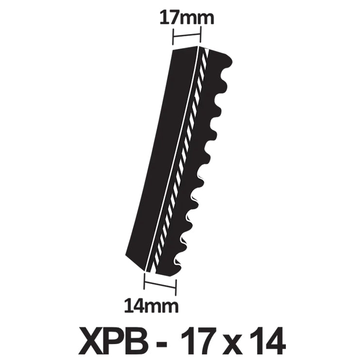 Cogged Wedge V-Belt - XPB Section 17 x 14mm – Motion Plus Limited